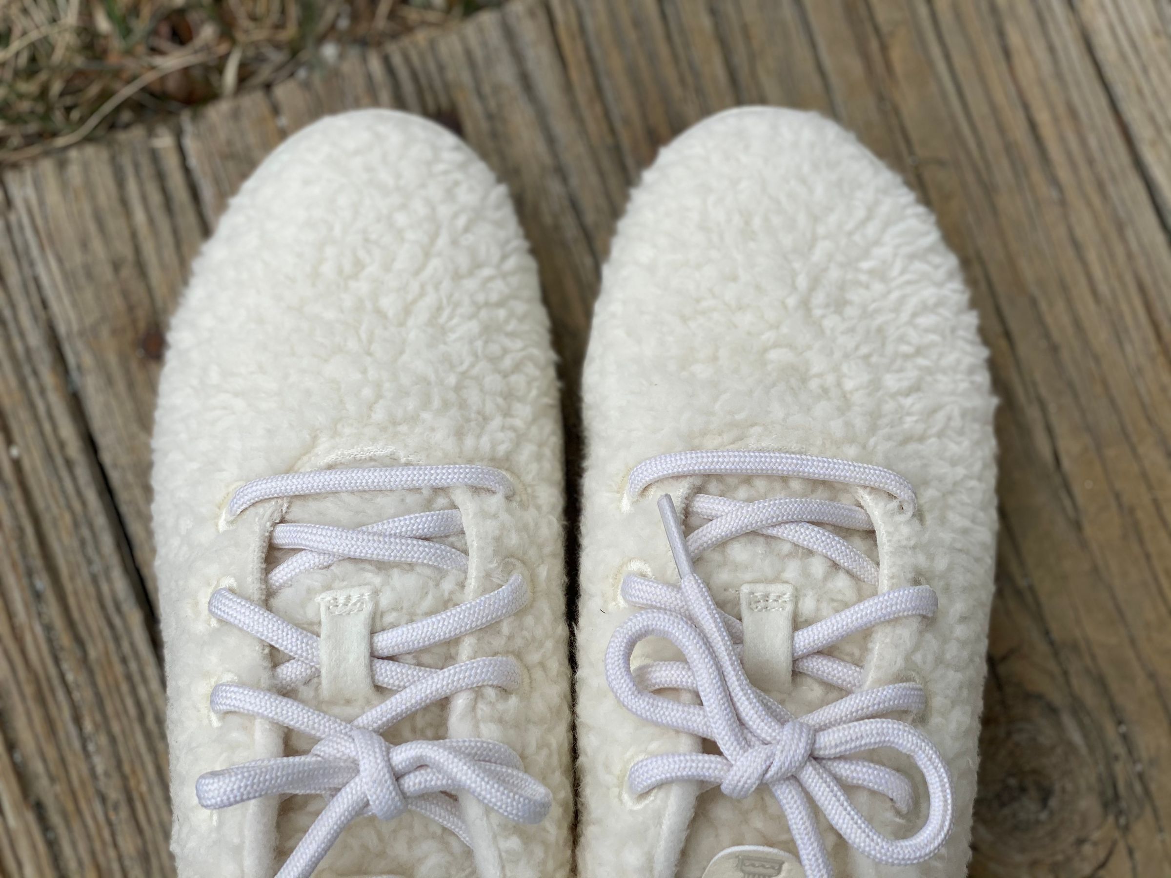 Allbirds, Five Years On